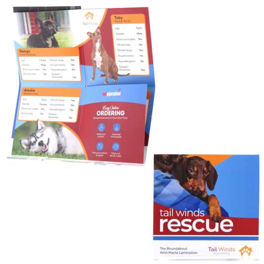 The Roundabout – Brochure with Snake Fold